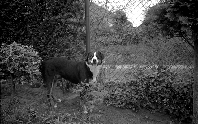 Argus C-44 test photos - Classic Manual Film Cameras - Photo.net